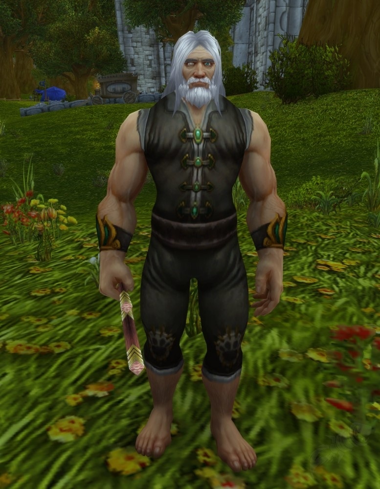 Confused Recruit - NPC - World of Warcraft