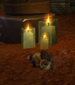 Buckie - Item - World of Warcraft