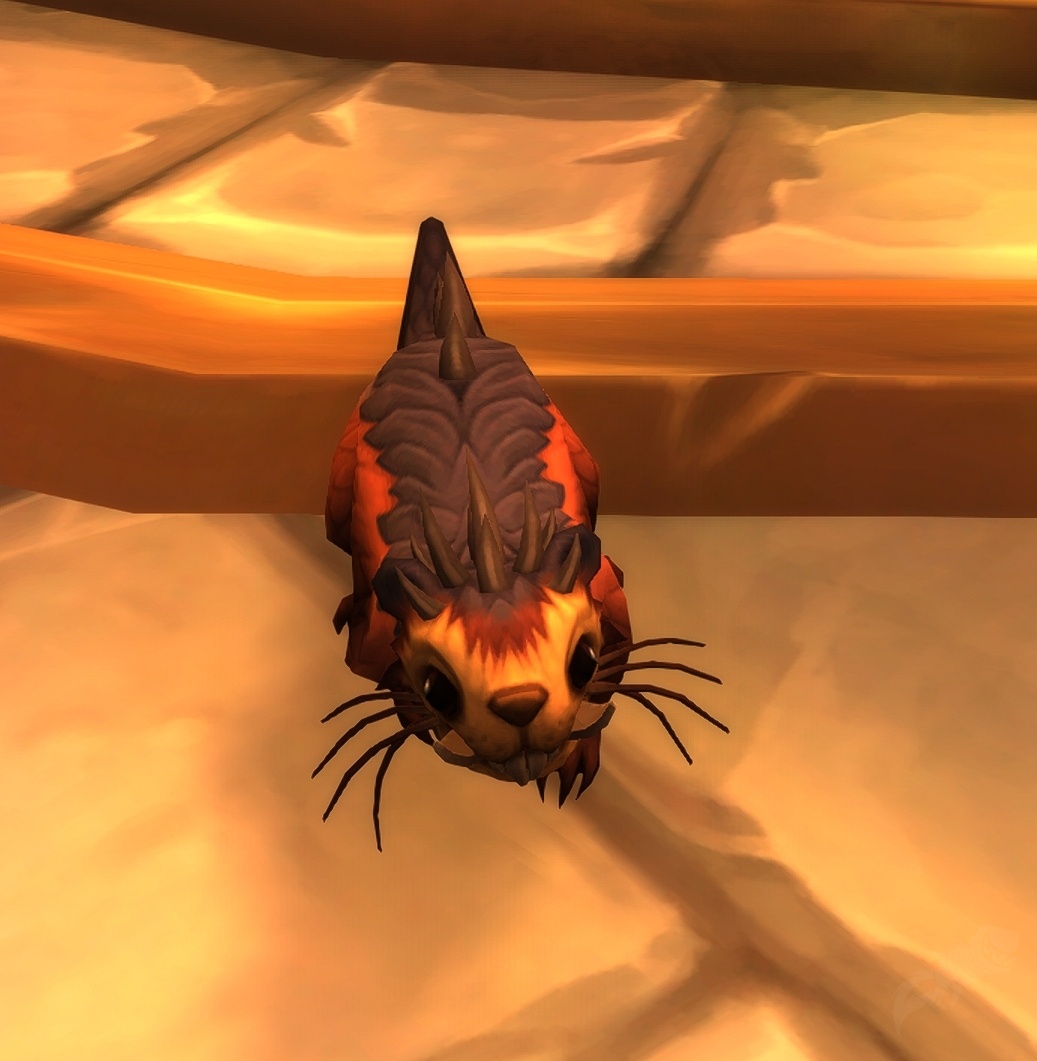 Schnuckel - Gegenstand - World of Warcraft