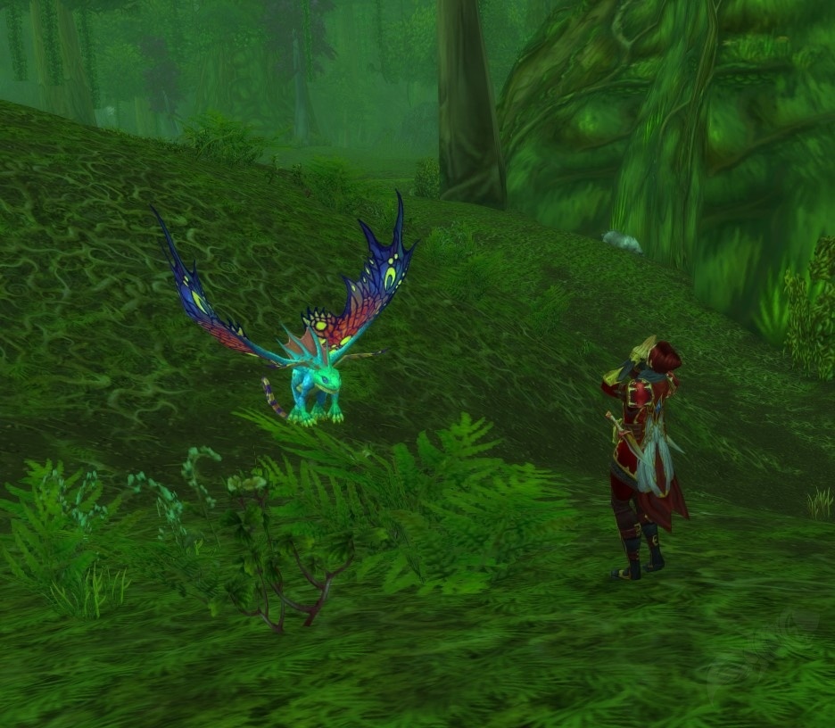 Rally Wild Faerie Dragon - Spell - World of Warcraft