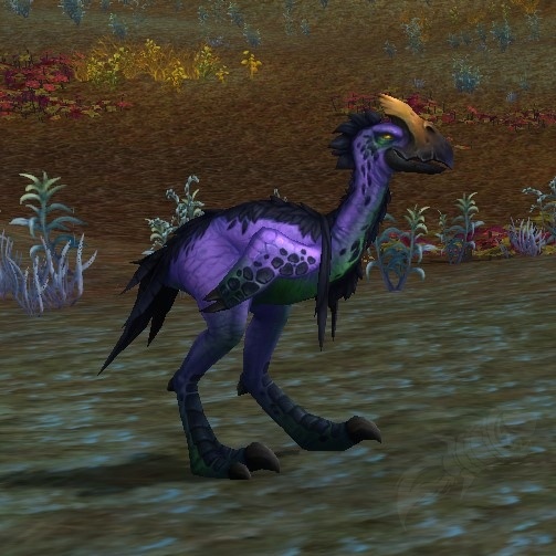 Darkmoon Hatchling - Item - 11.0.2 Beta