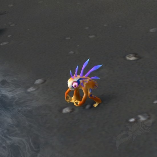 Shelly - NPC - World of Warcraft