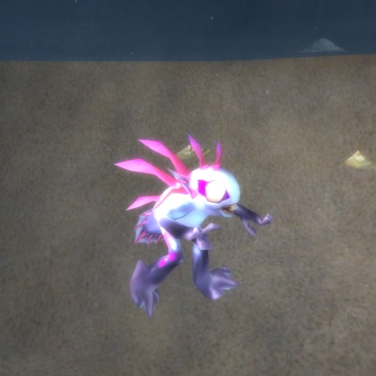 Bloop - NPC - World of Warcraft