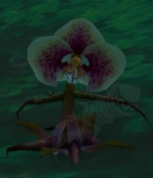Sprouting Lasher - NPC - World of Warcraft