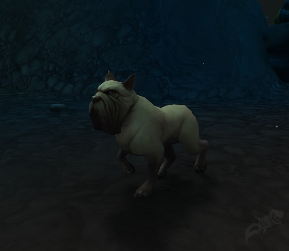 Company Watchdog - NPC - World of Warcraft