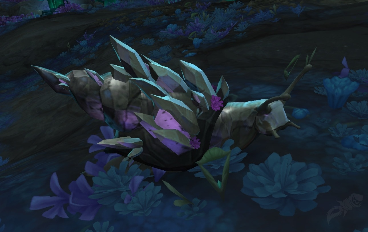 Slimy Whelk - NPC - World of Warcraft
