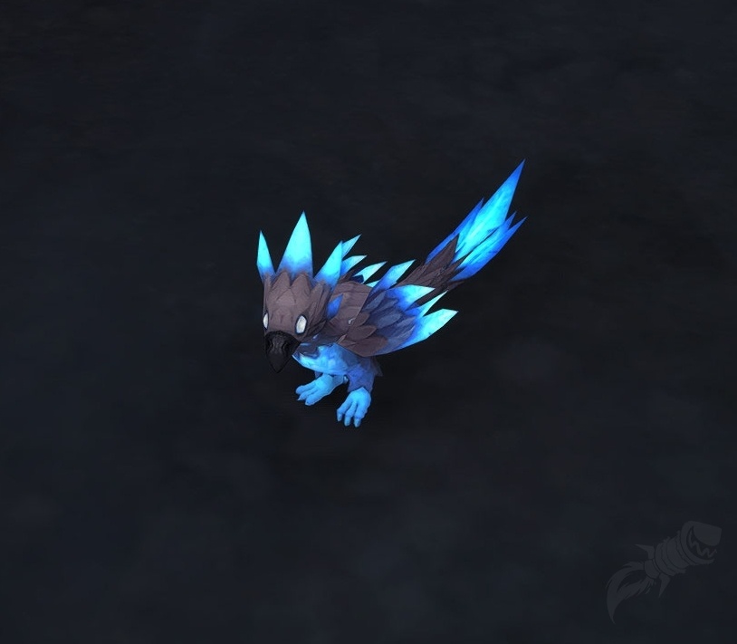 Prole de fénix domesticada - PNJ - World of Warcraft