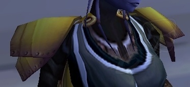 Valorous Pauldrons - Item - WotLK Classic