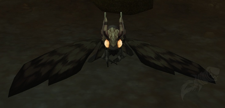 Curious Moth - NPC - World of Warcraft