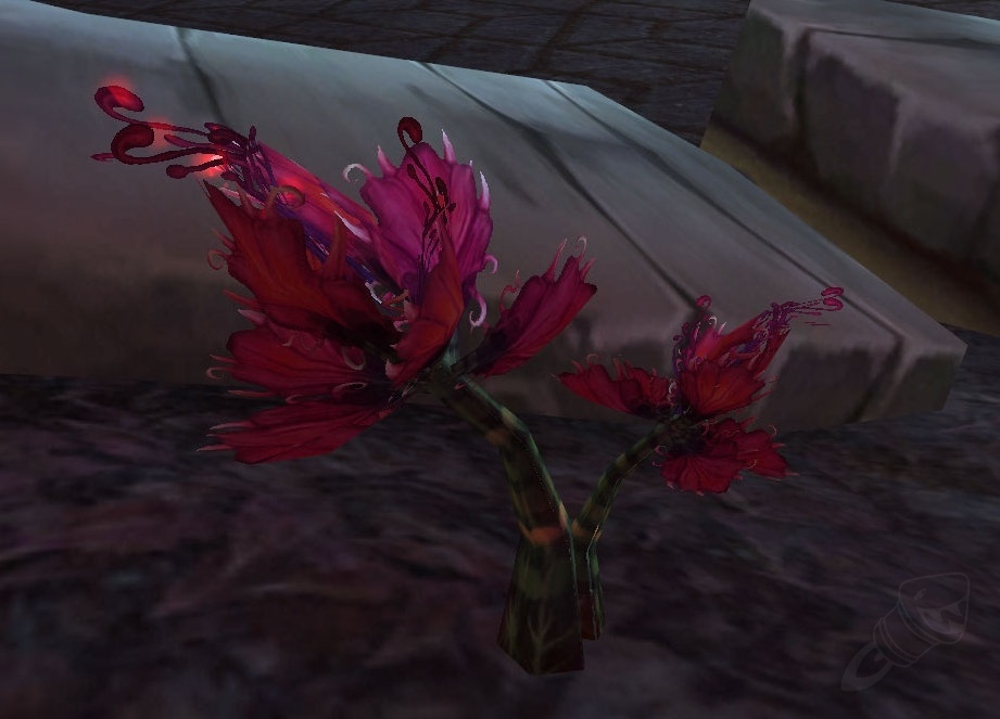 Rosa de Talandra - Entidad - World of Warcraft