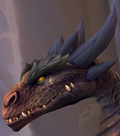 Winding Slitherdrake: Hairy Brow - Item - World of Warcraft
