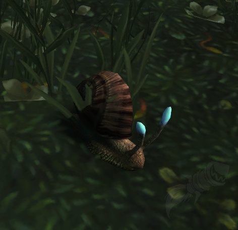 Mudshell Conch - NPC - World of Warcraft