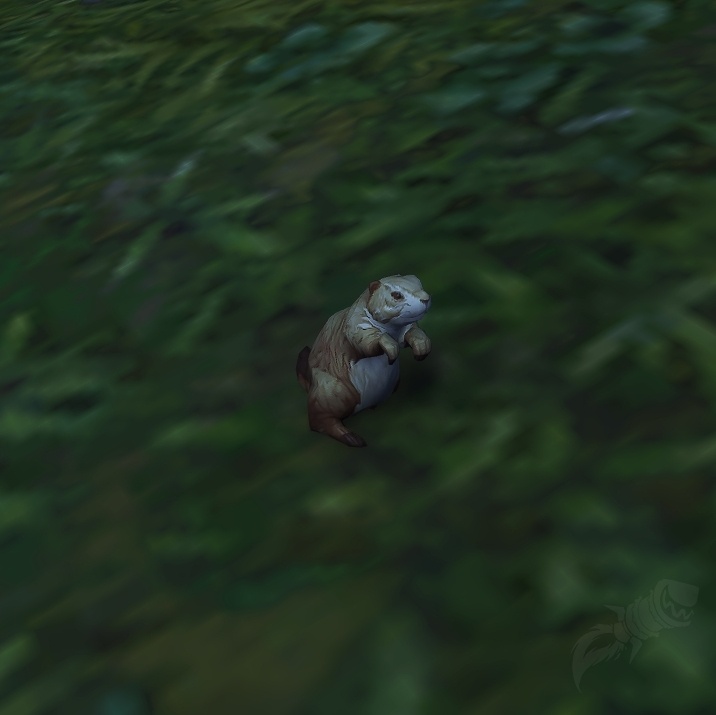 Taltuza de piedra - PNJ - World of Warcraft