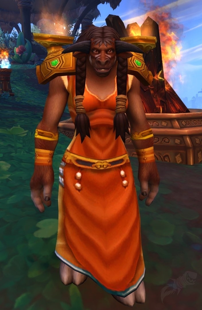 Ohn'ahran Plains Flame Guardian—NPC—魔兽世界