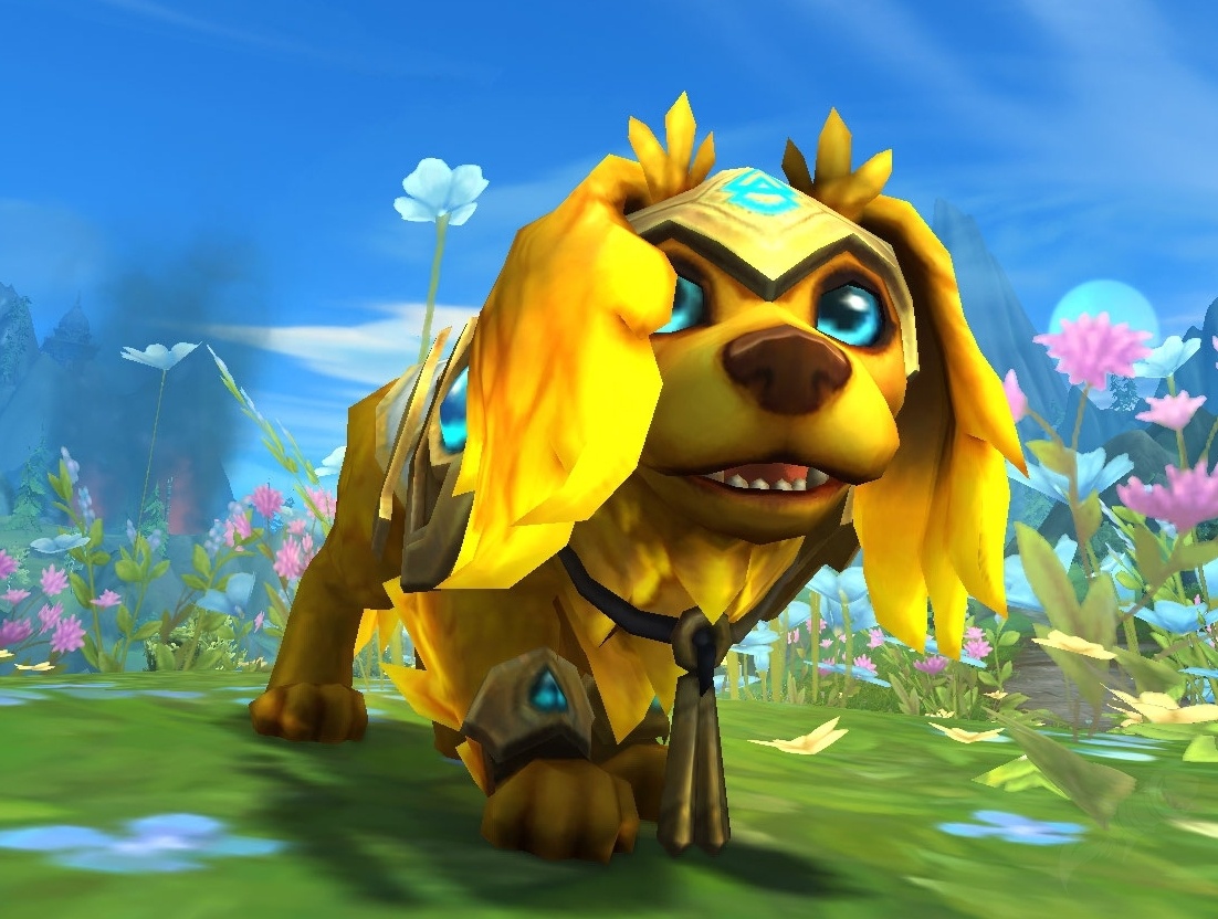 Sonni - Gegenstand - World of Warcraft