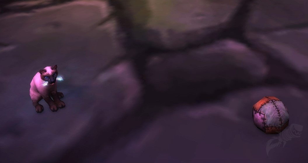 Brinquedo de Gato - Objeto - World of Warcraft
