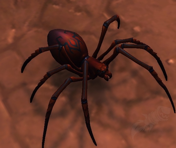 Bloodfeaster Spiderling - Item - World of Warcraft