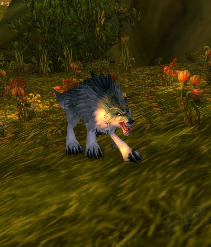 Young Wolf - NPC - Classic World of Warcraft