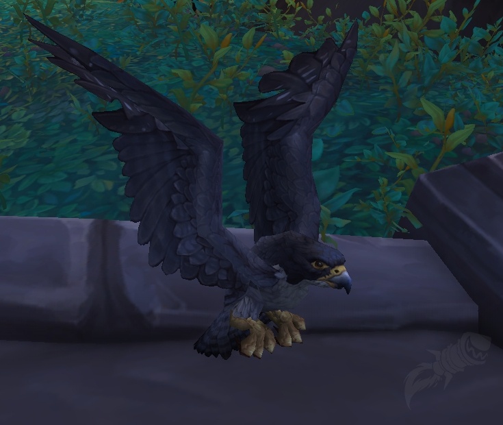 Pluma de halcón prístina - Objeto - World of Warcraft