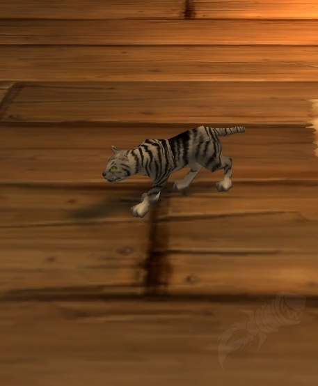 Gato Tigrado Cinzento - PNJ - WotLK (clássico)