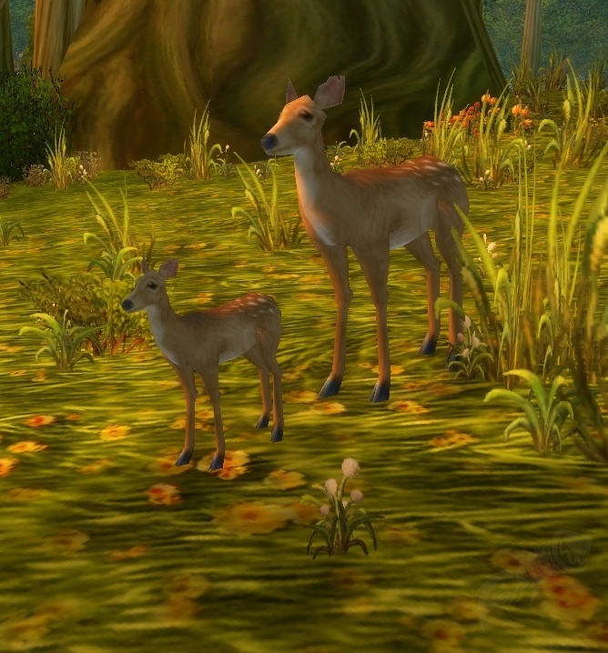 Cervato - PNJ - WotLK Clásico