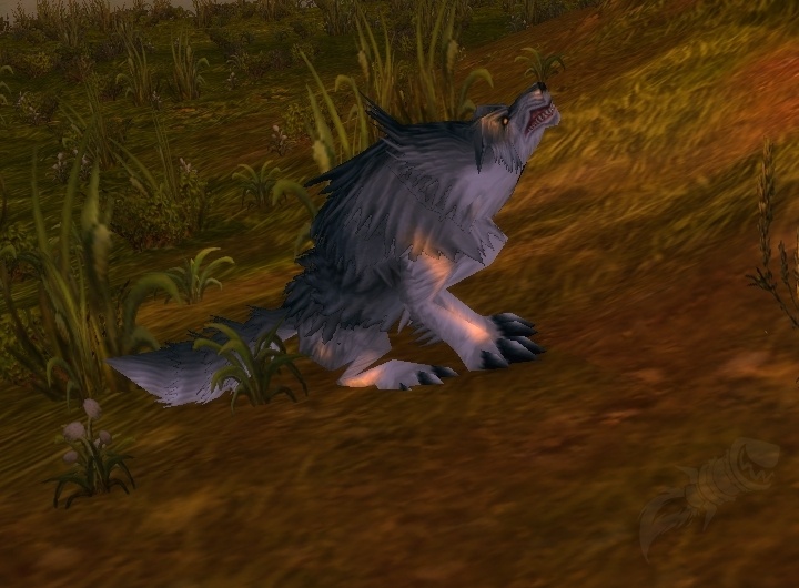 Timber Wolf - NPC - Classic World of Warcraft