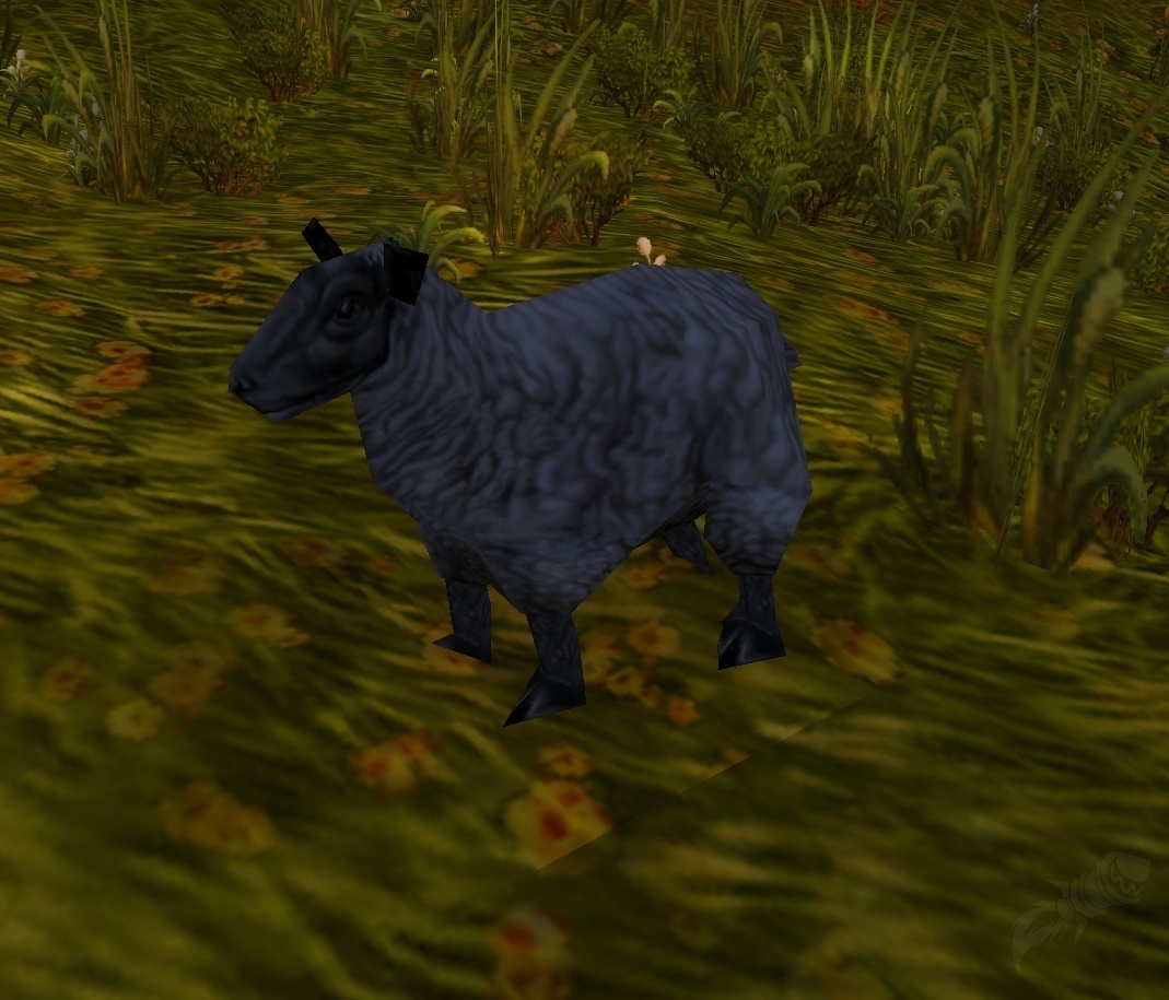Sheep - NPC - Classic World of Warcraft