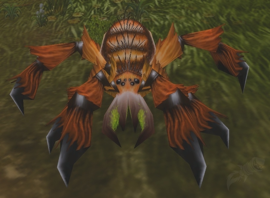 Forest Spider - NPC - Classic World of Warcraft