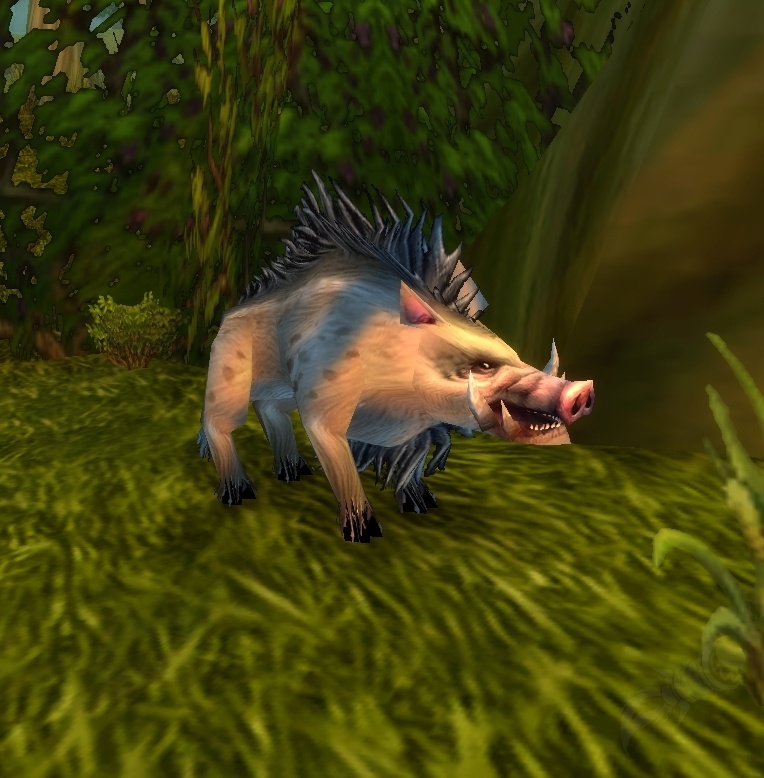 Rockhide Boar - NPC - TBC Classic
