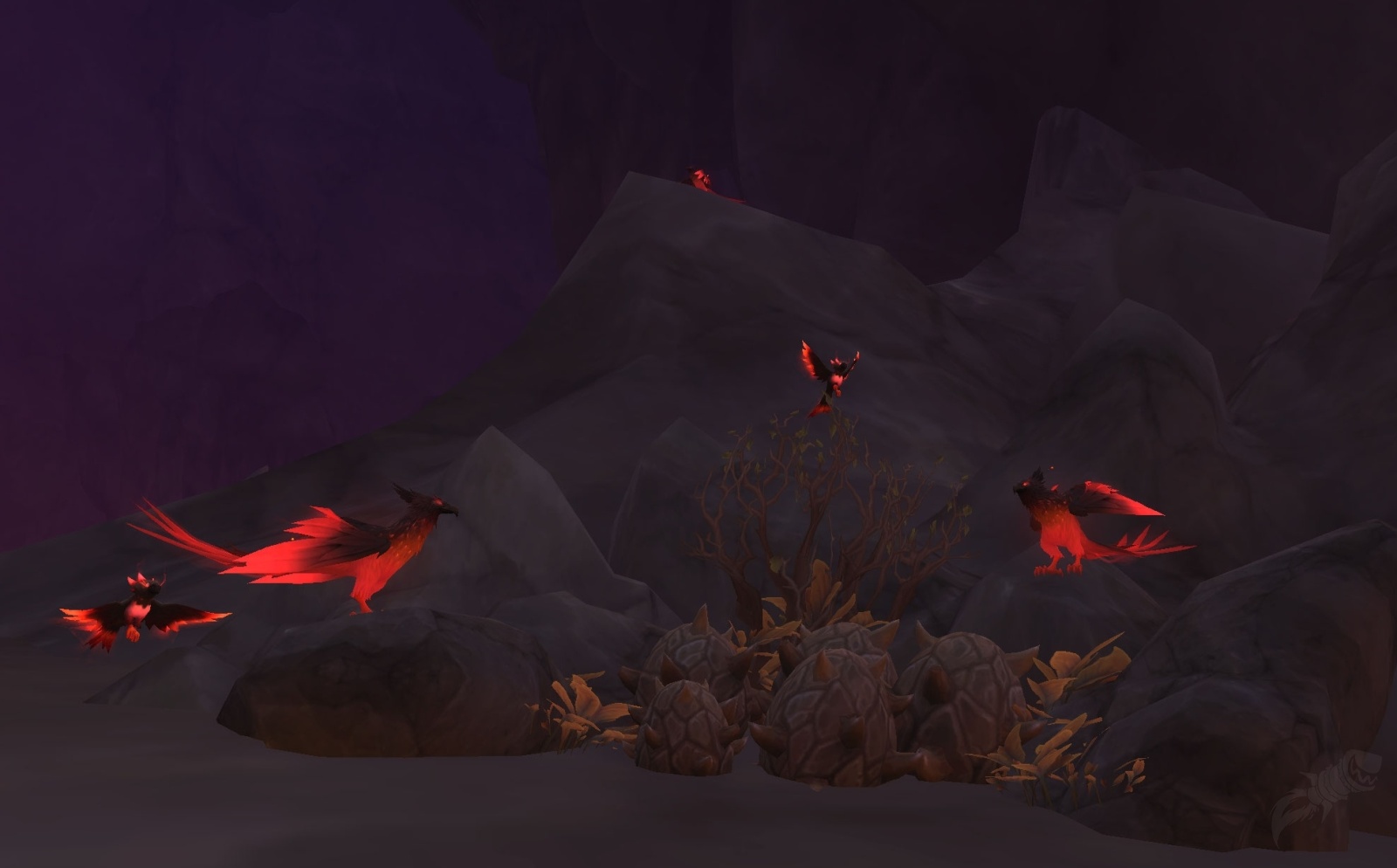 Prole de fénix - PNJ - World of Warcraft