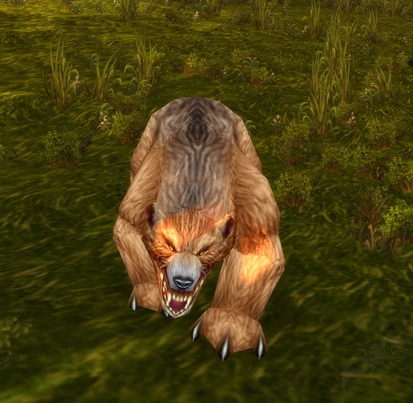 Young Forest Bear - NPC - Classic World of Warcraft