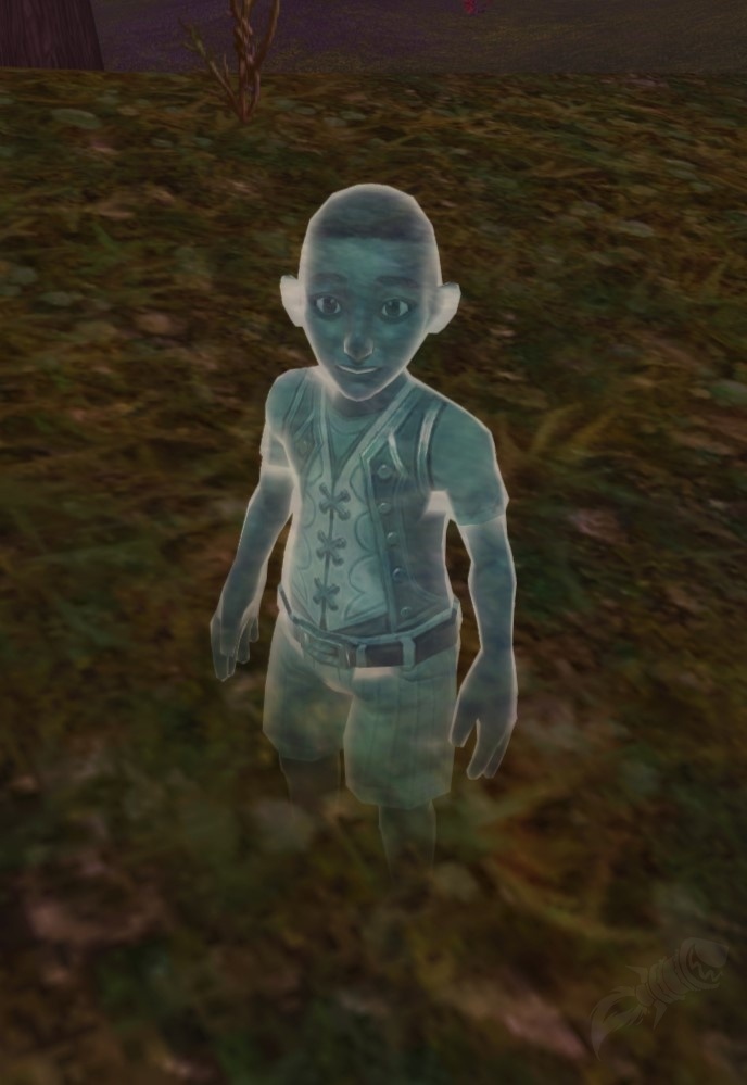 Vulto Aterrorizado - PNJ - World of Warcraft