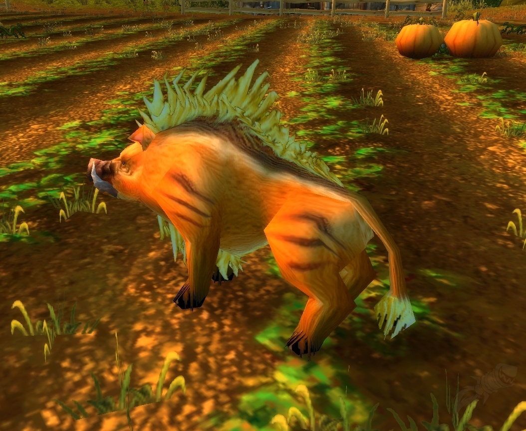 Princess - NPC - WotLK Classic