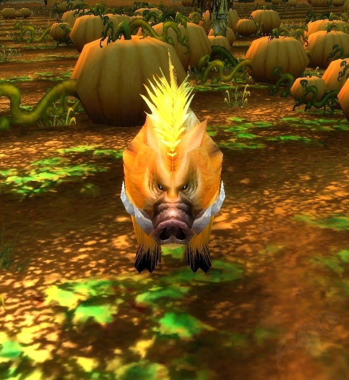 Princess - NPC - TBC Classic