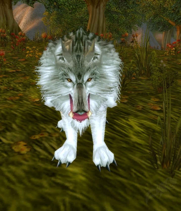 Streuner - NPC - WotLK Classic