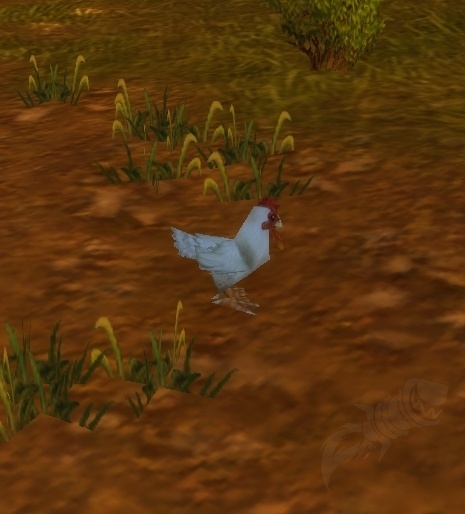 Pygmy Cockatrice - NPC - WotLK Classic