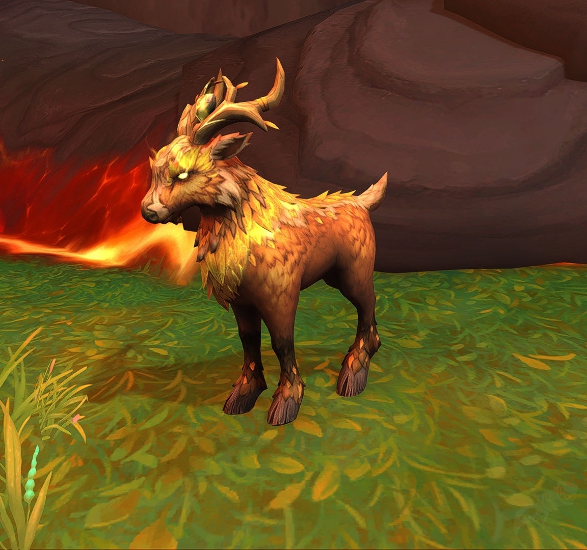 Dreamhoof Doe - NPC - World of Warcraft