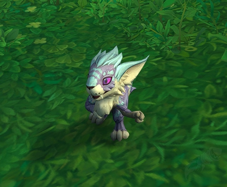 Sabertooth Cub - NPC - World of Warcraft