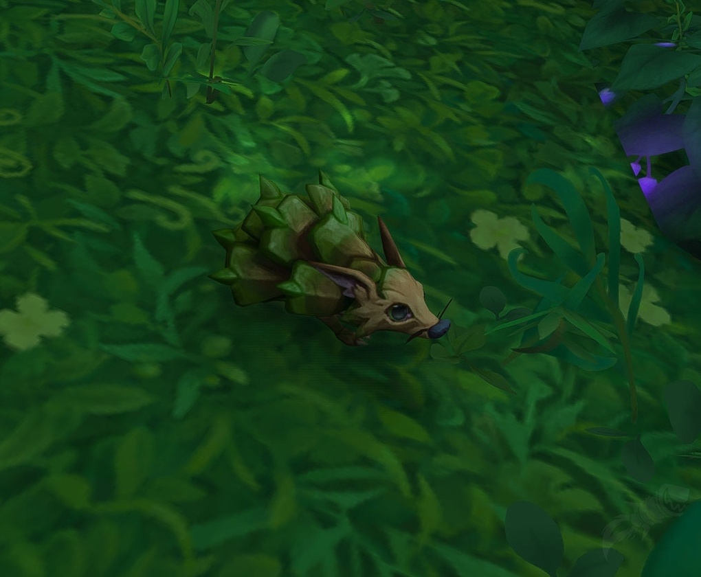 Curious Pineshrew - NPC - World of Warcraft
