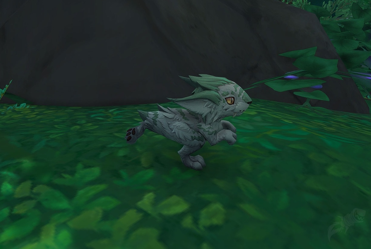 Chasing Sabertooth Cub - NPC - World of Warcraft