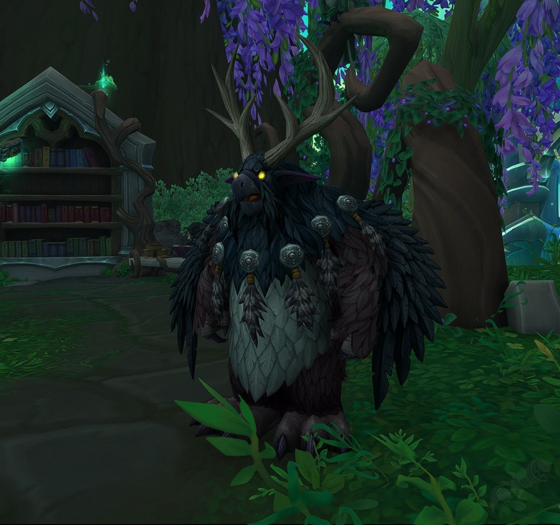 Cerwyn - NPC - World of Warcraft