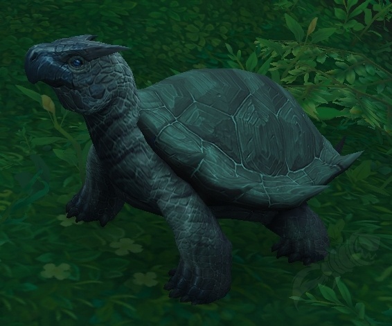 Dewdrop Tortoise - NPC - World of Warcraft