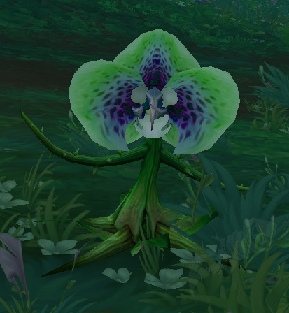 Azotador de pana enfurecido - PNJ - World of Warcraft