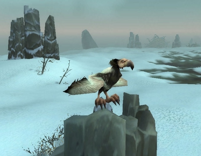 Carrion Condor - NPC - WotLK Classic