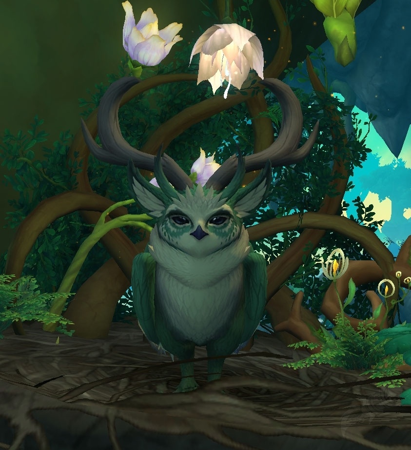 Albon the Watcher - NPC - World of Warcraft