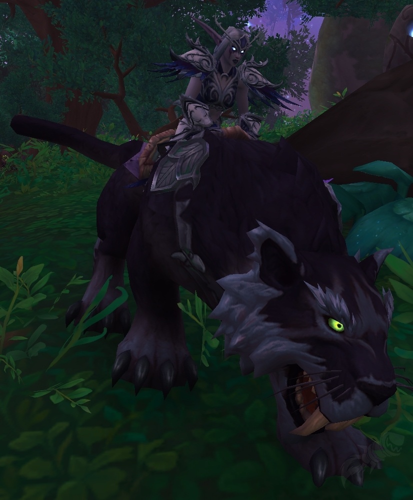 Centinela de Amirdrassil - PNJ - World of Warcraft