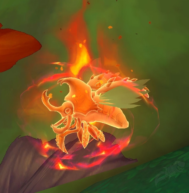 Infused Beetle - NPC - World of Warcraft
