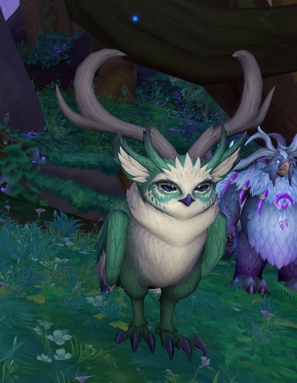 Curious Somnowl - NPC - World of Warcraft