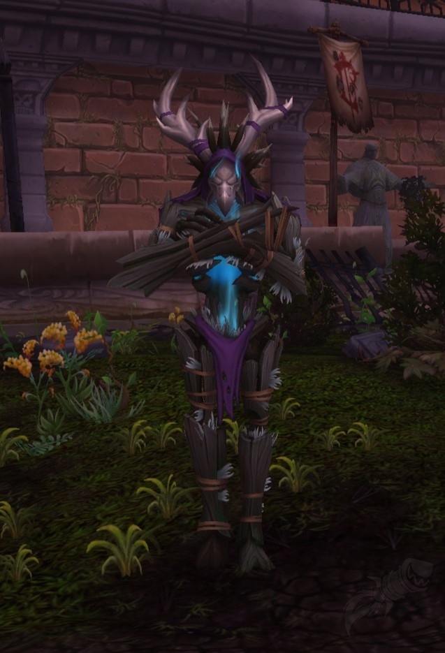 Wicker Man of Shadows - NPC - World of Warcraft