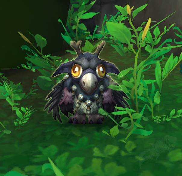 Fuzz - NPC - World of Warcraft